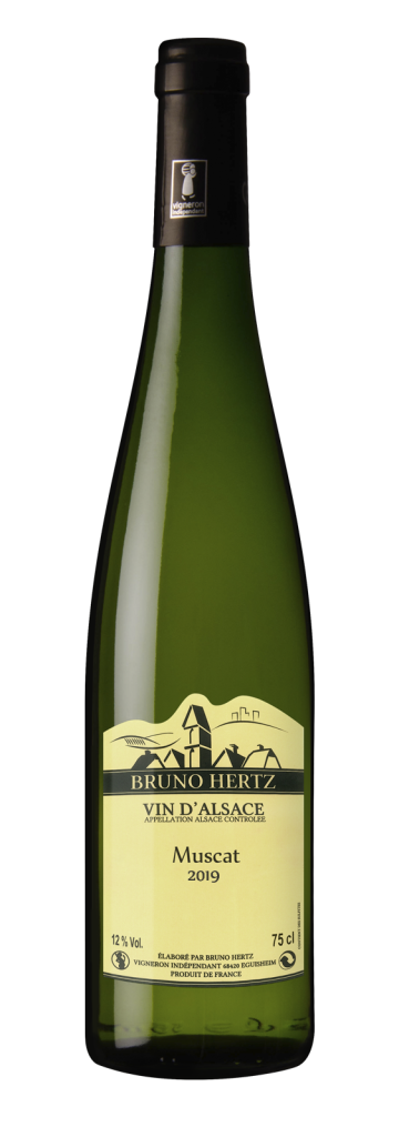 Muscat 2019 - Les Vins d'Alsace Bruno Hertz à Eguisheim